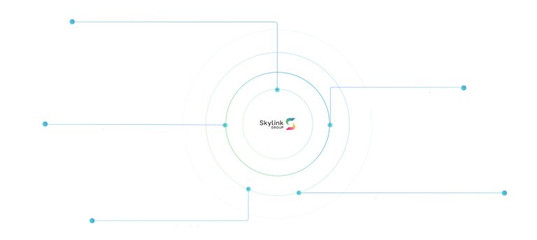 Về SKYLINK Group - Skylink Group